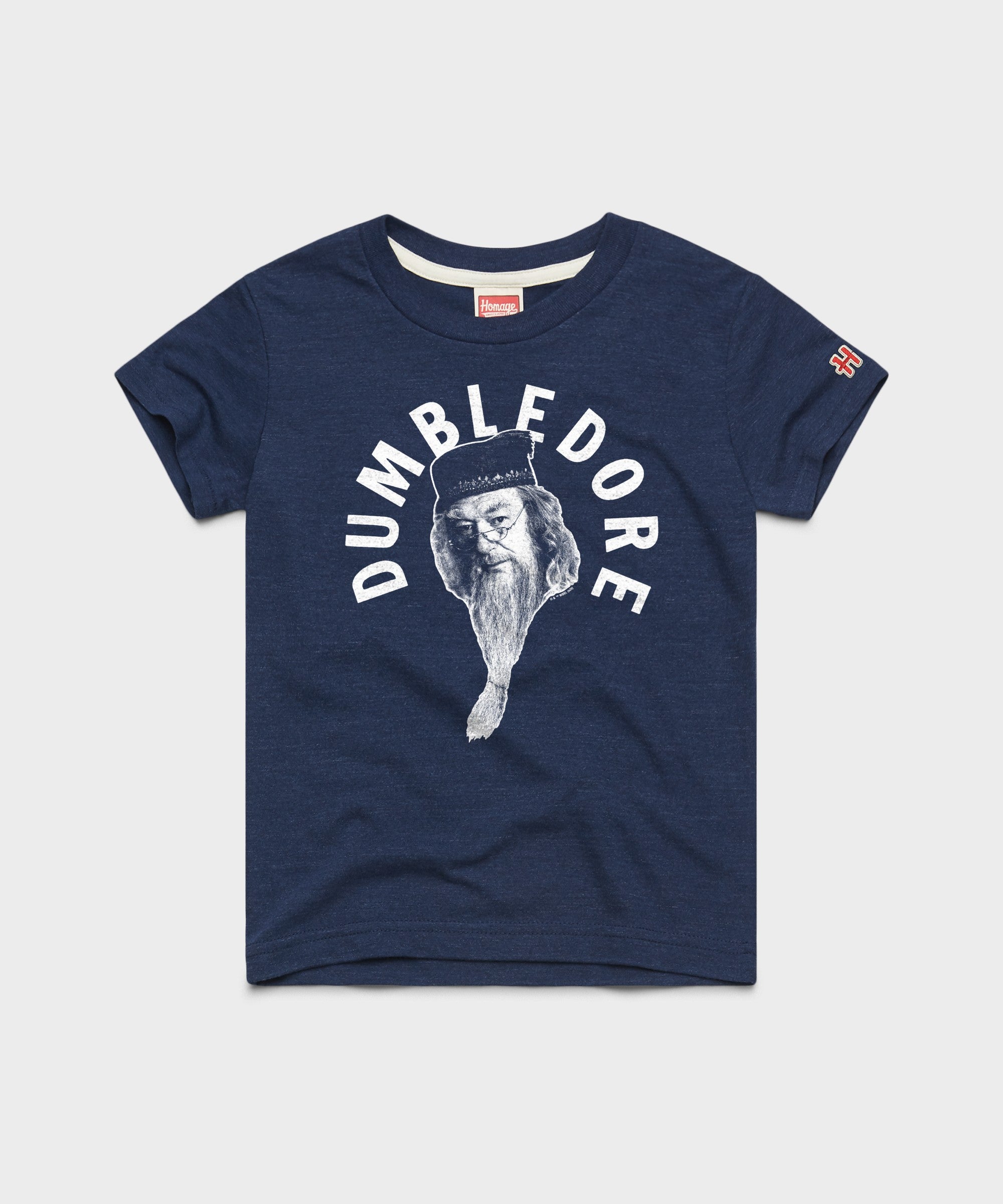 Harry Potter Apparel | Officially Licensed Professor Dumbledore Gear ...